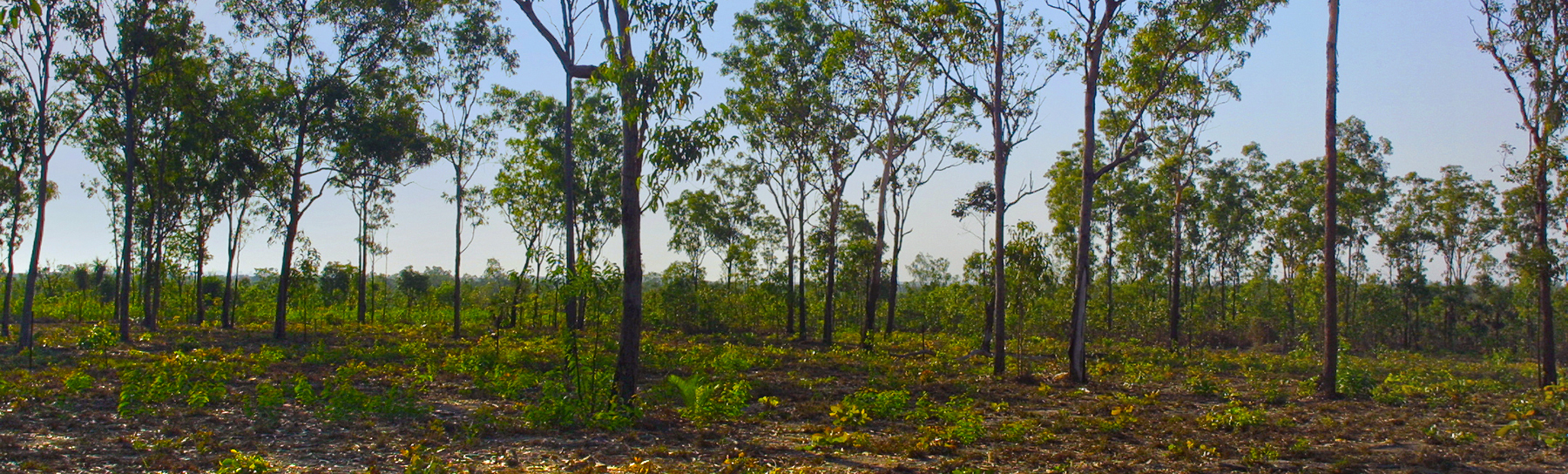 Rural acreage in the suburbs! Country lots with enviable country lifestyle